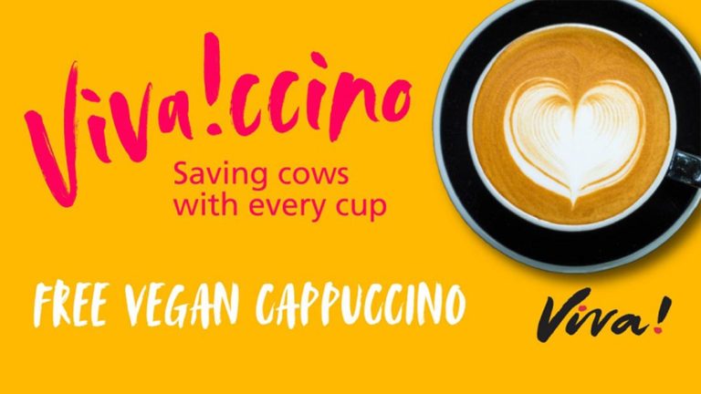 Lifestyle campaigns | Viva! The Vegan Charity
