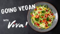 Veganism in Religion | Viva! The Vegan Charity