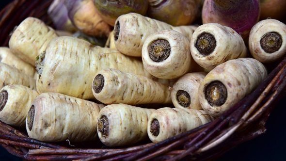 Root vegetables - | Viva! The Vegan Charity