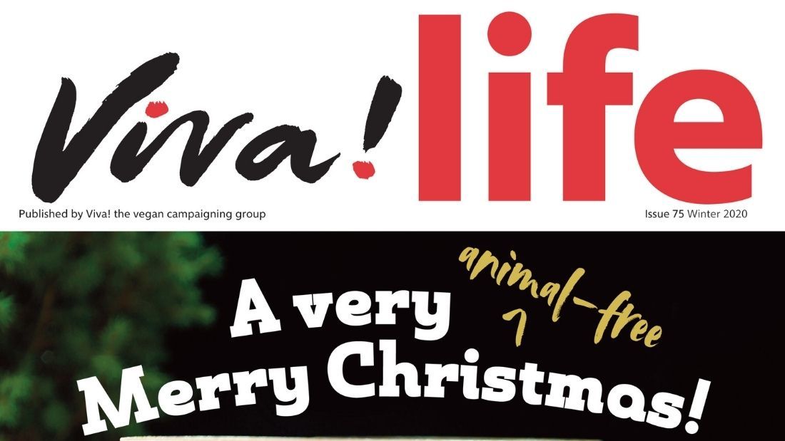 Viva! - Viva!life Issue 92 | Summer 2025