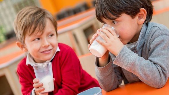 Free vegan school milk in Scotland - Health news | Viva! The Vegan Charity