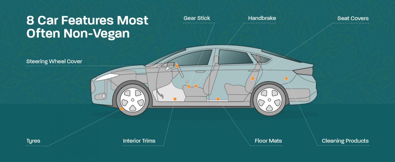 A Vegan's Guide to Cars | Viva! The Vegan Charity