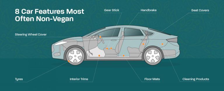 A Vegan's Guide to Cars | Viva! The Vegan Charity