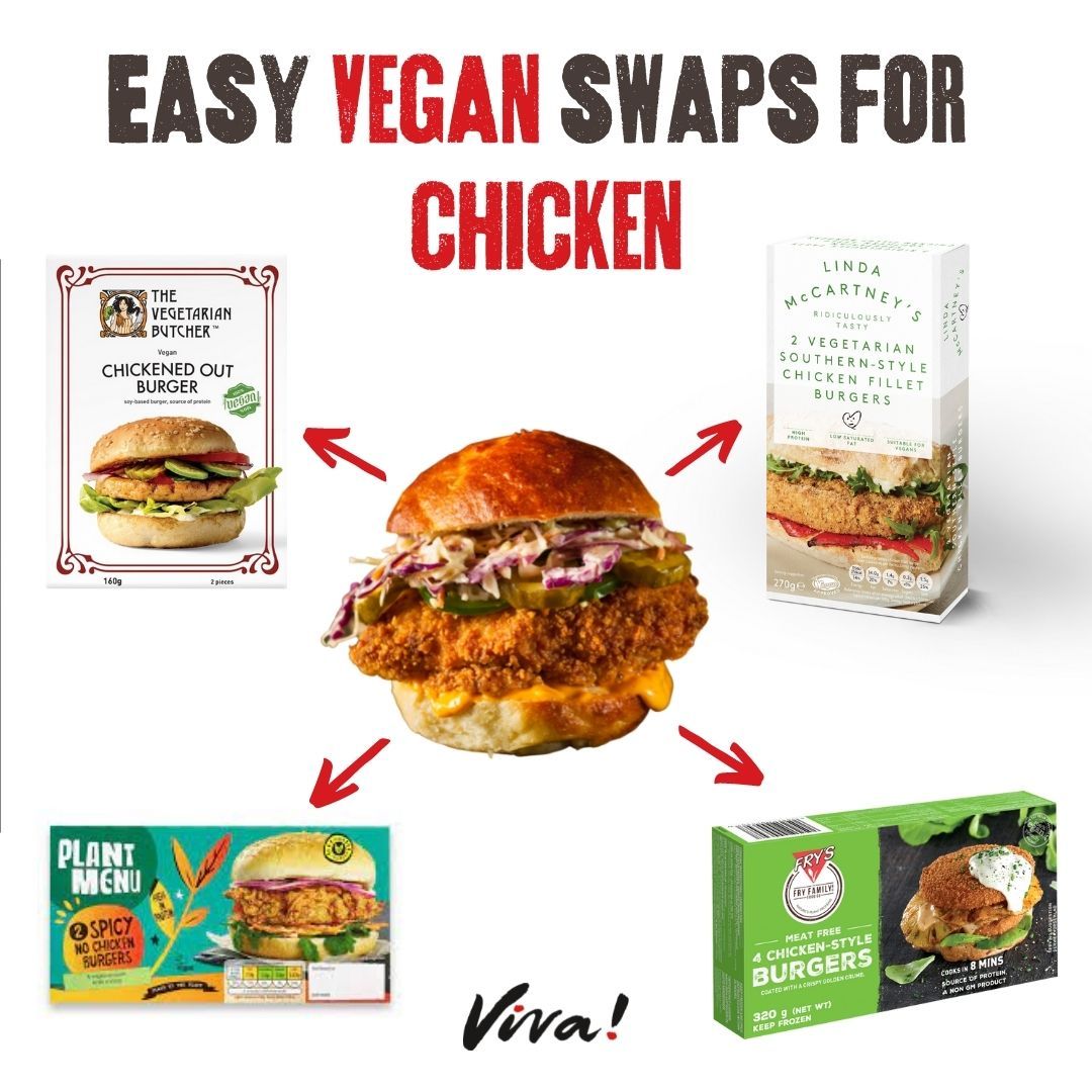 Try Vegan | Viva! The Vegan Charity