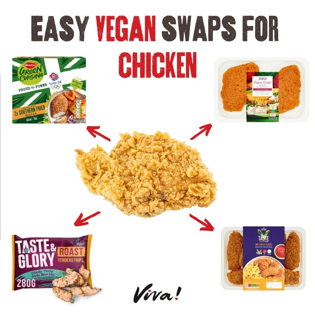 Try Vegan | Viva! The Vegan Charity