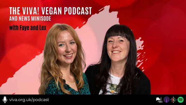 Viva! Vegan Podcast | Viva! The Vegan Charity
