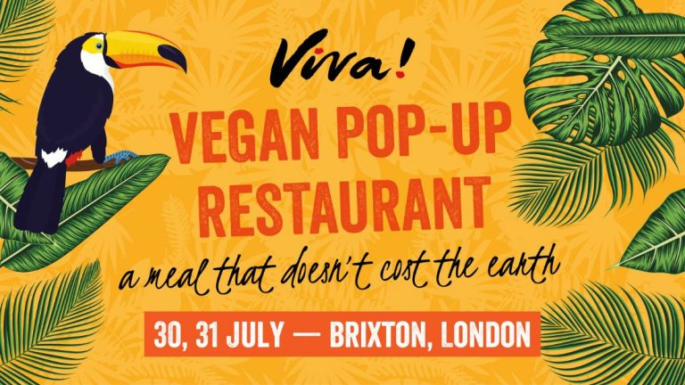 The evolution of a vegan | Viva! The Vegan Charity
