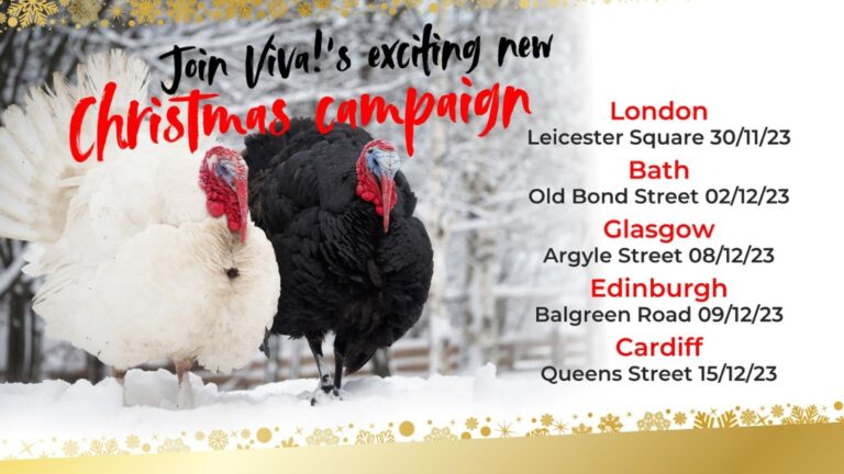 The evolution of a vegan | Viva! The Vegan Charity