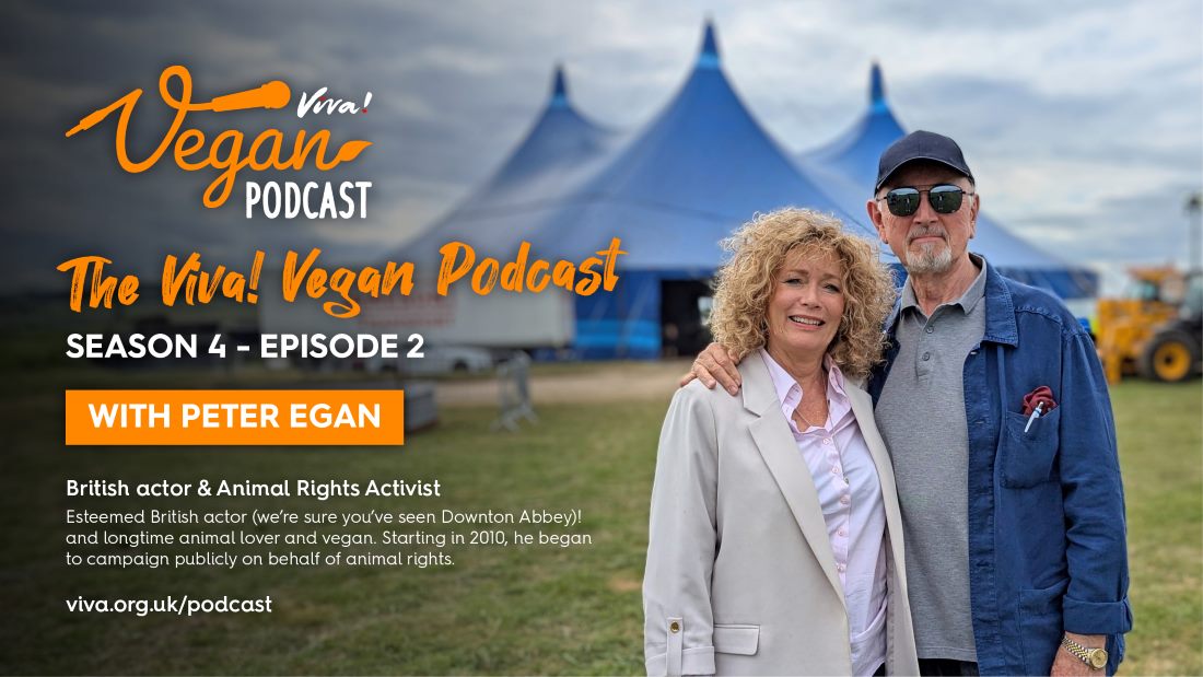 Viva Vegan Podcast Peter Egan Viva